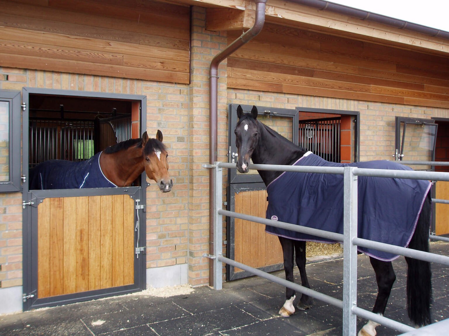 Dressuranlage am Genfer See | EQUUS DESIGN PLANUNG | Ostbevern